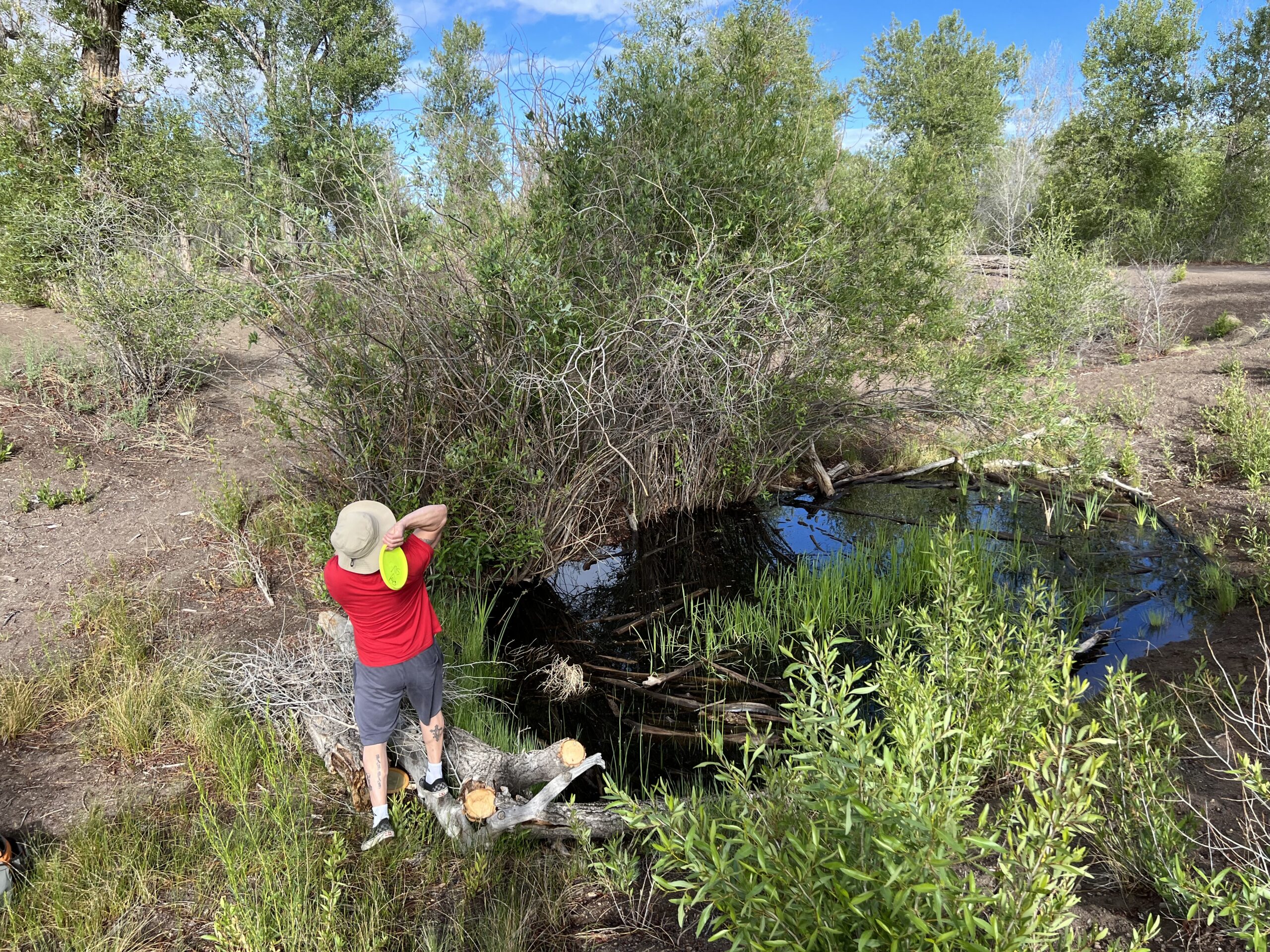 Spring Fling Disc Golf Tournament is Saturday - Alamosa Citizen