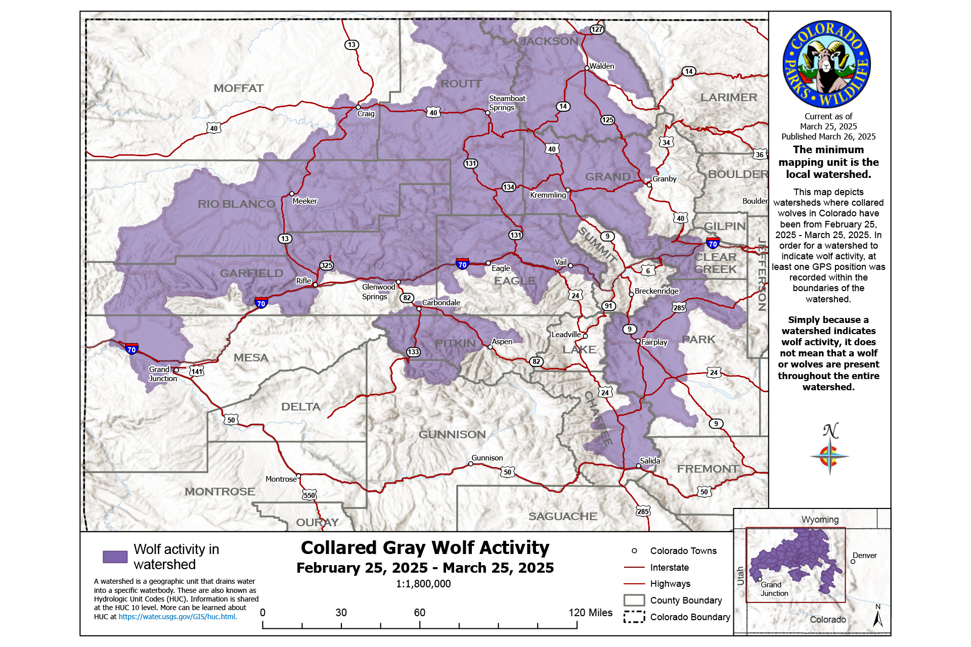Wolf Update: Another dead gray wolf found - Alamosa Citizen